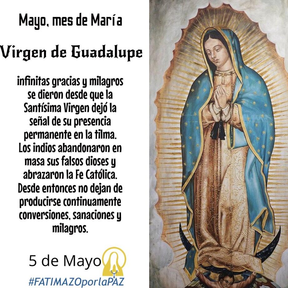 Los milagros de la Virgen María: historias que te dejarán sin palabras - oracionpara.uno
